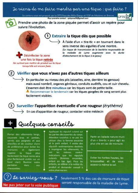 Fiche conseils sur la morsure de tique - Pharmacie Coeur De Brenne